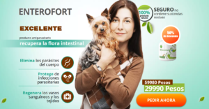 Enterofort Chile: ¿Cómo funciona realmente? Reseñas Precio